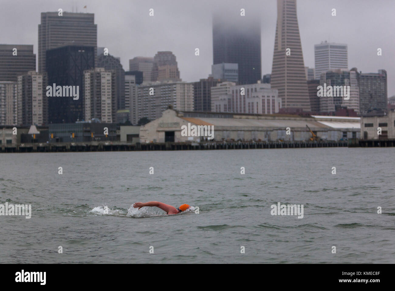 Member of Dolphin Club swimming in Bay Bridge, San Francisco ...