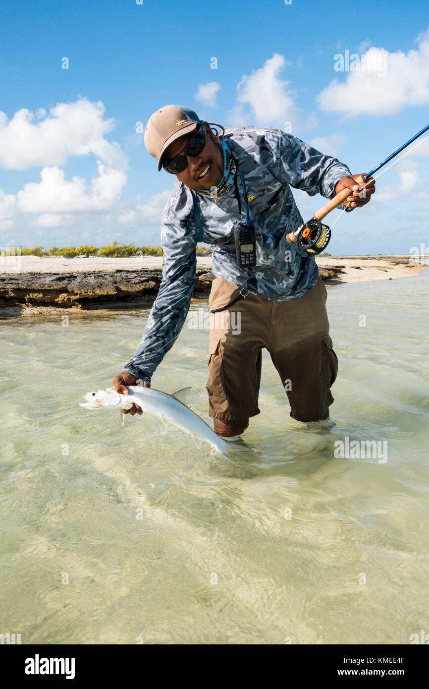 Bonefish ocean hi-res stock photography and images - Alamy