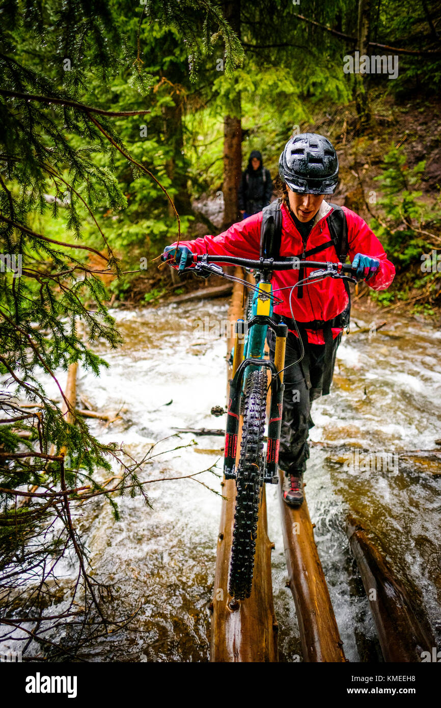 Female mountain biker in forest pushes bike across stream on log bridge, Ice Lakes Trail, USA ...