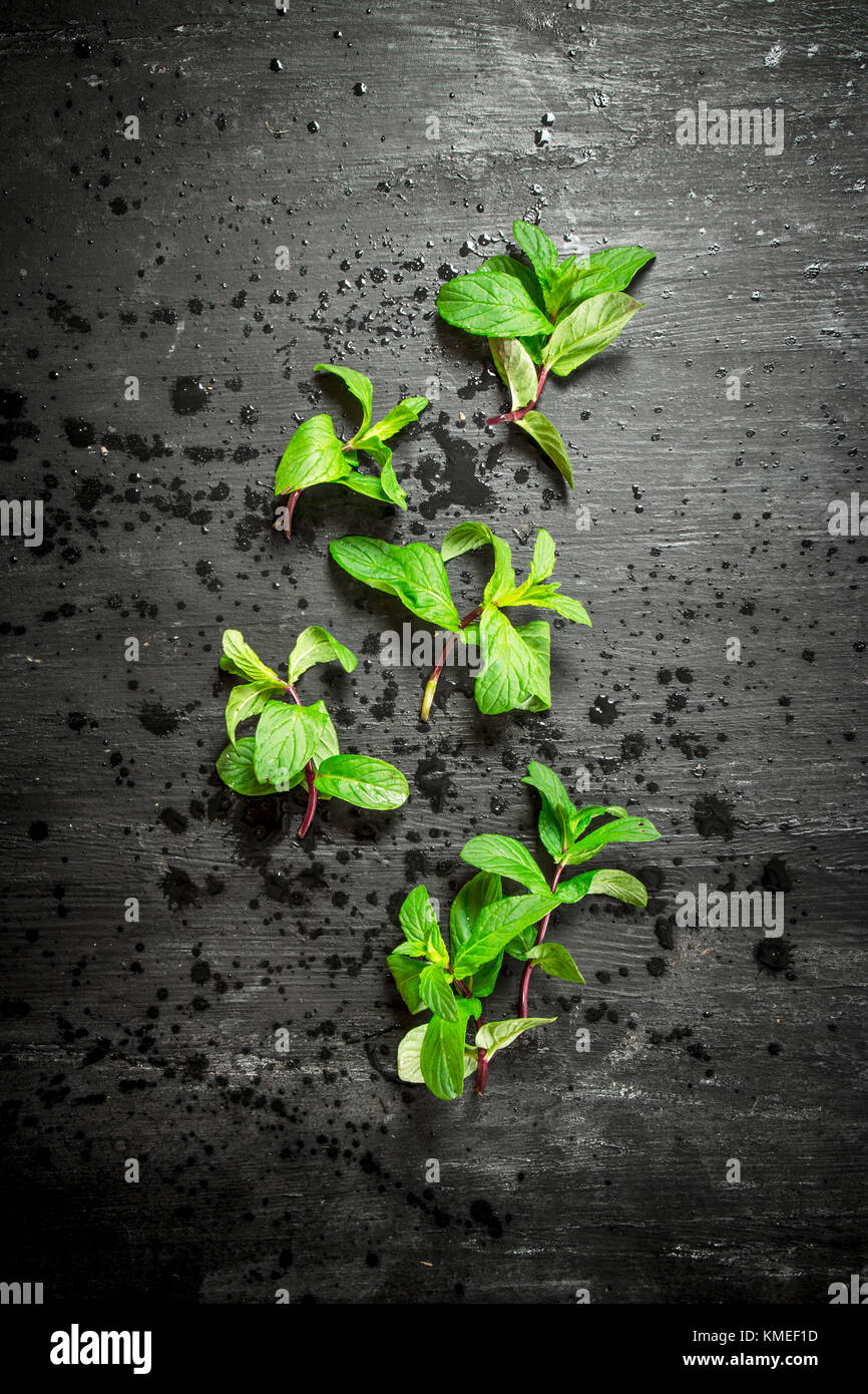 Bunches of fresh mint. On the black wooden table Stock Photo - Alamy