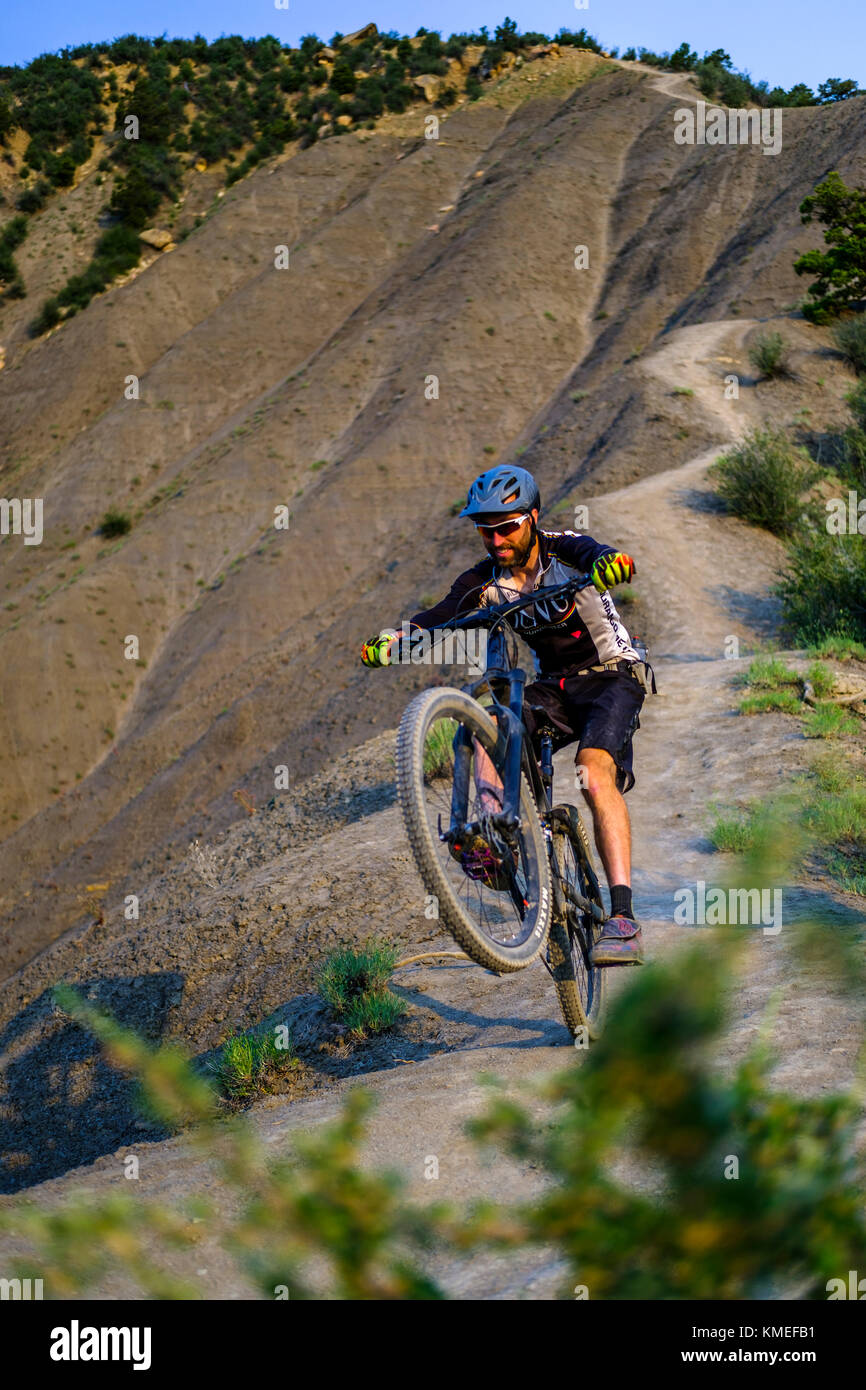 Male Mountain Biker rides down Hogs back on one wheel near Durango ...