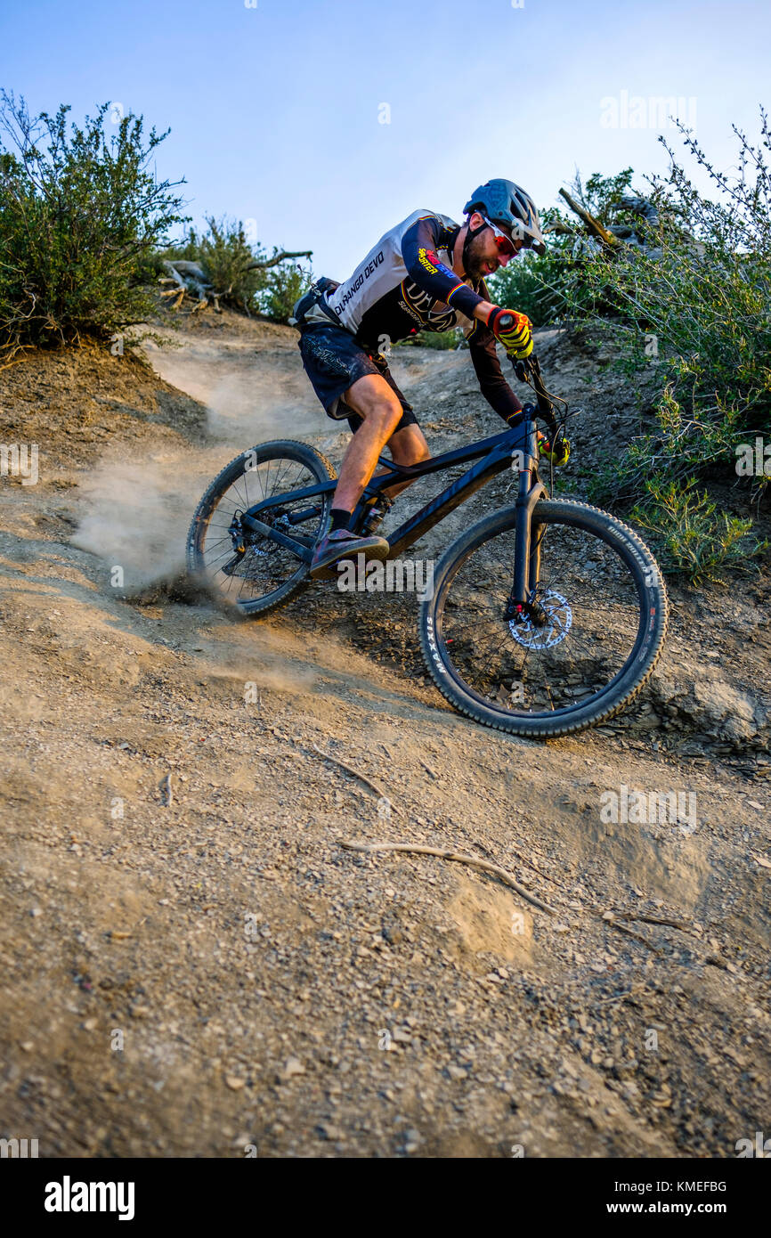 Male Mountain Biker rides down Hogs back near Durango,Colorado,USA ...