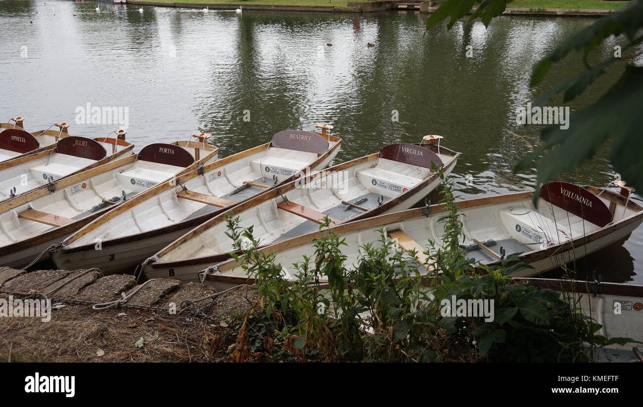 Rowing vessels hi-res stock photography and images - Alamy