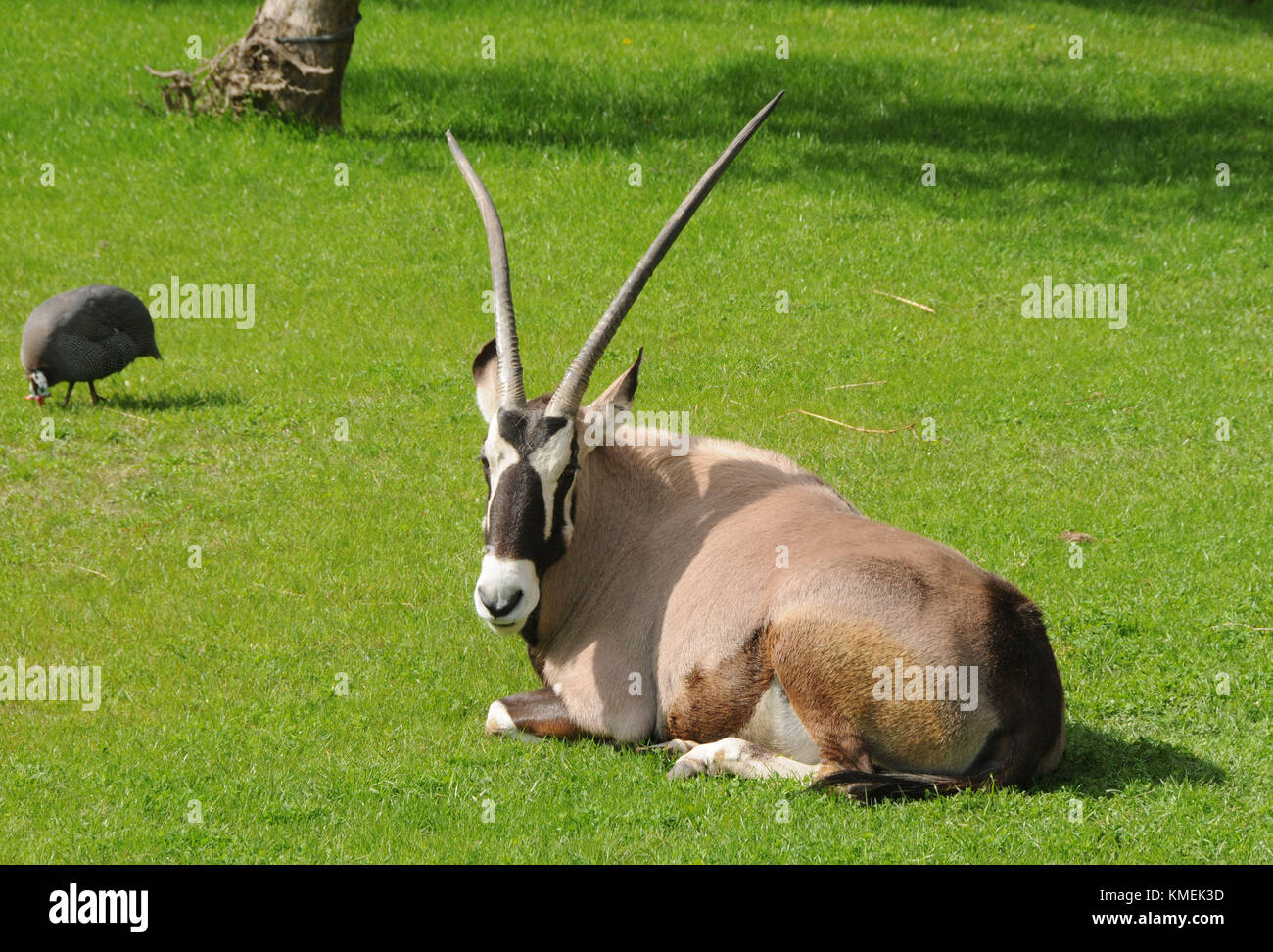 A general view of atmosphere at Temaiken Bioparque Zoo on September 14 ...