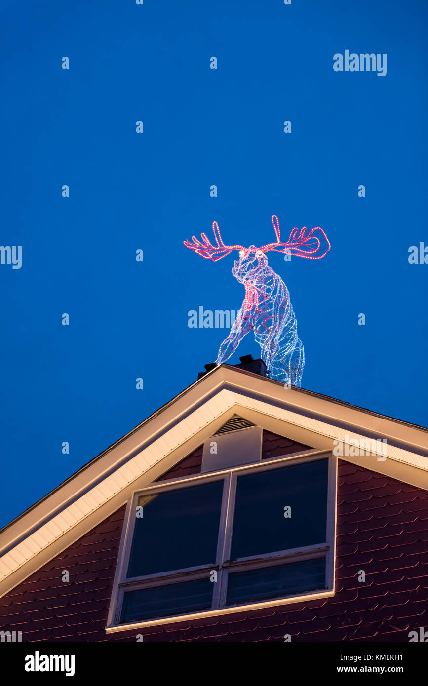 Illuminated Moose decoration with neon lights attached on top of roof ...