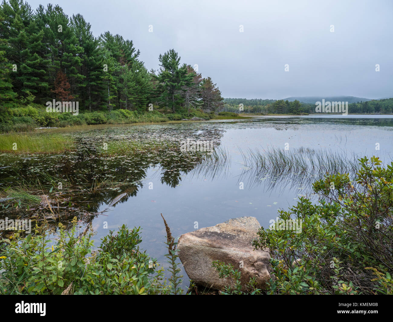 Witch Hole Pond, Acadia National Park, Maine Stock Photo - Alamy