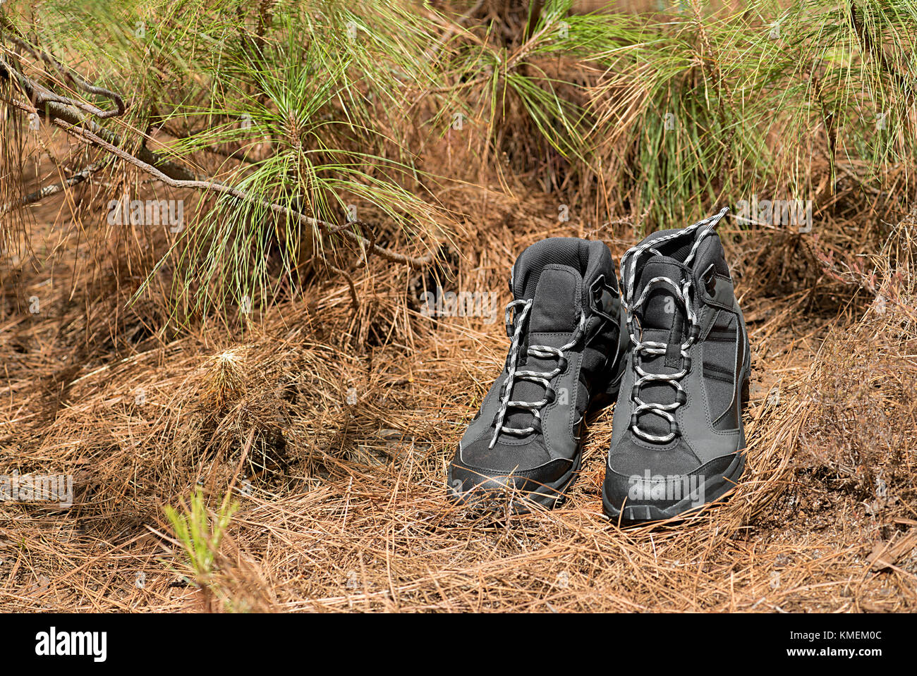 hiking boots in the forest Stock Photo - Alamy