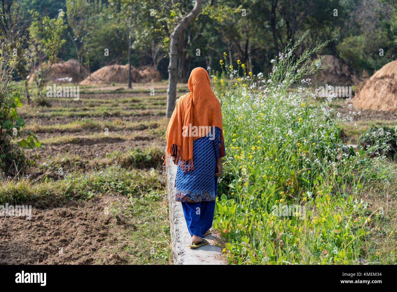 An old woman farmer in her farmland Stock Photo - Alamy
