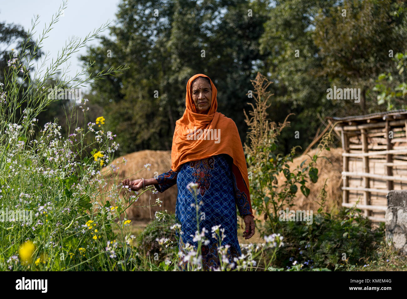 Woman farmer in agricultural hi-res stock photography and images - Alamy