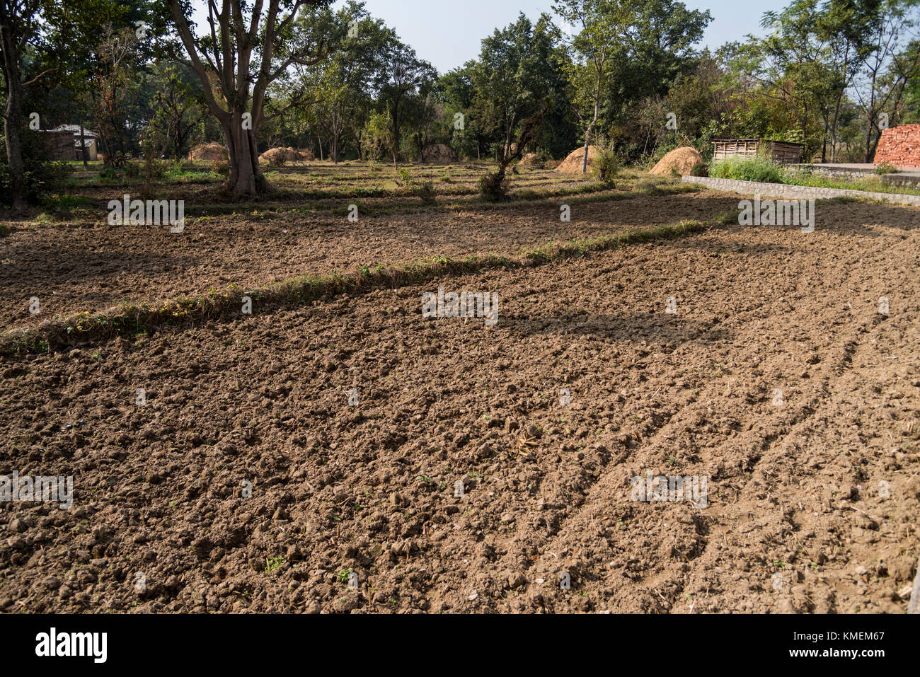 A farmland in a village in India Stock Photo - Alamy