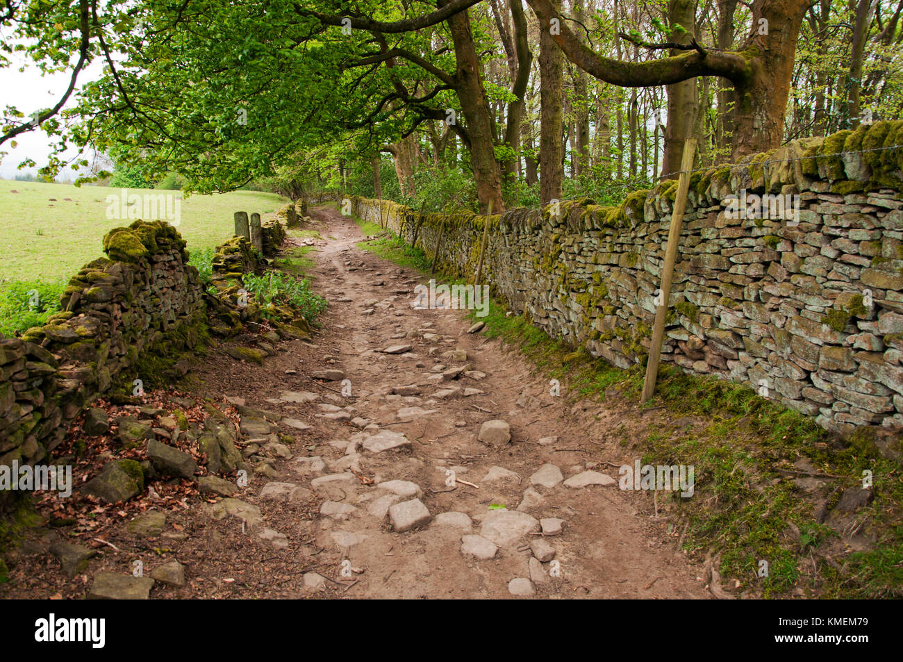 Enclosed footpath on the lower slopes of Win Hill in the Peak District ...
