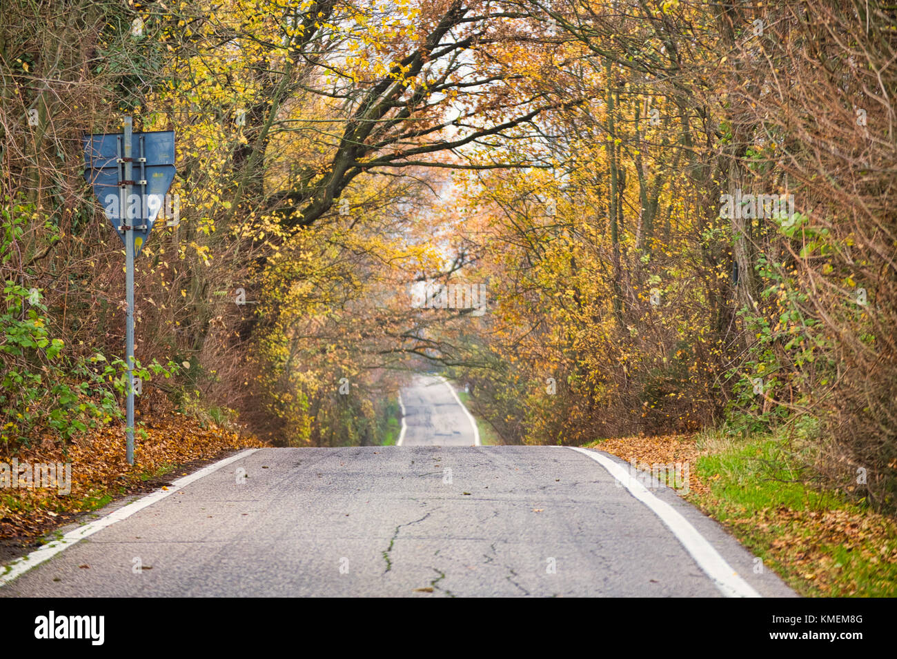 road to vanishing point running though fall colors on hills near ...