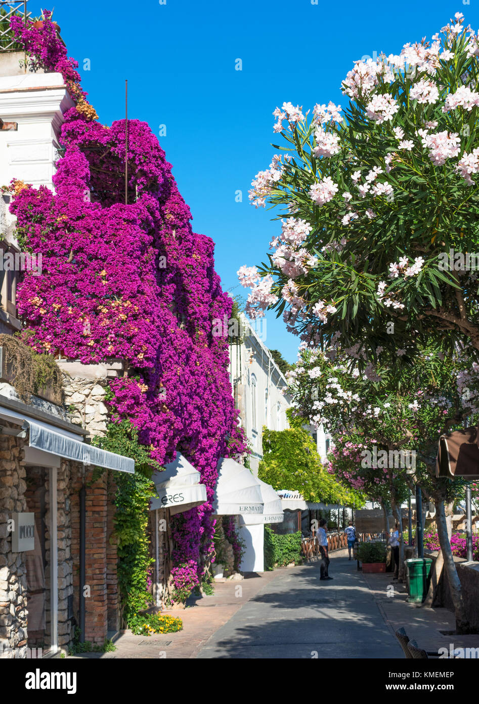 flowers adorn the buildings in the streets on the island of capri ...