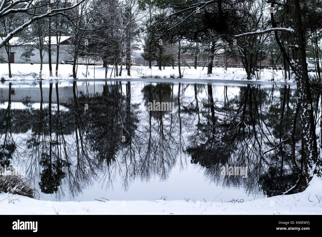 Snow landscpae photo with pine trees and a pond Stock Photo - Alamy