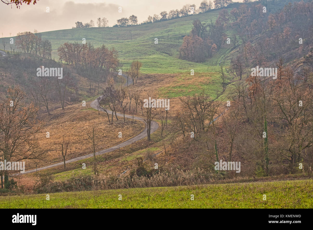 road to vanishing point running though fall colors on hills near ...