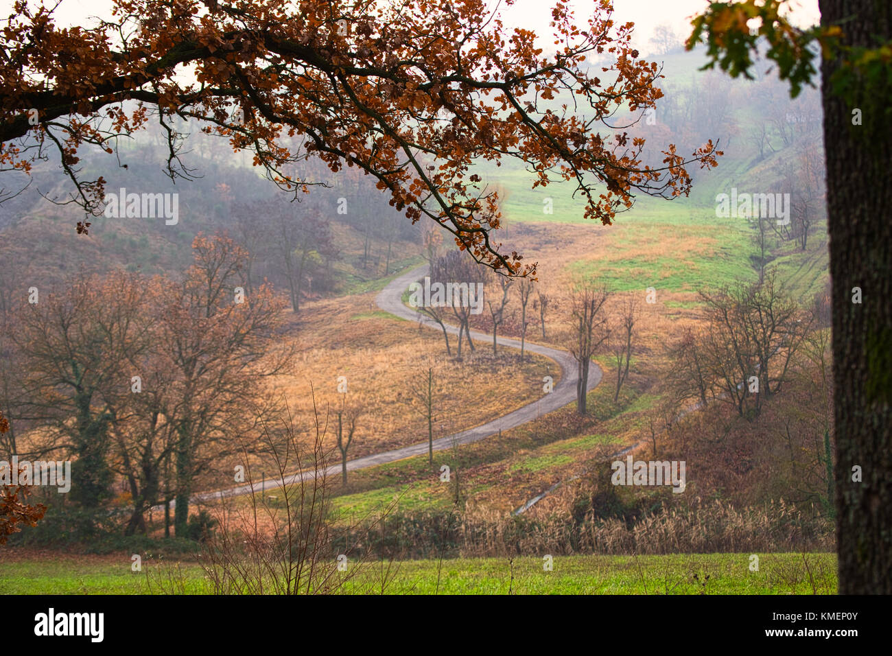 road to vanishing point running though fall colors on hills near ...