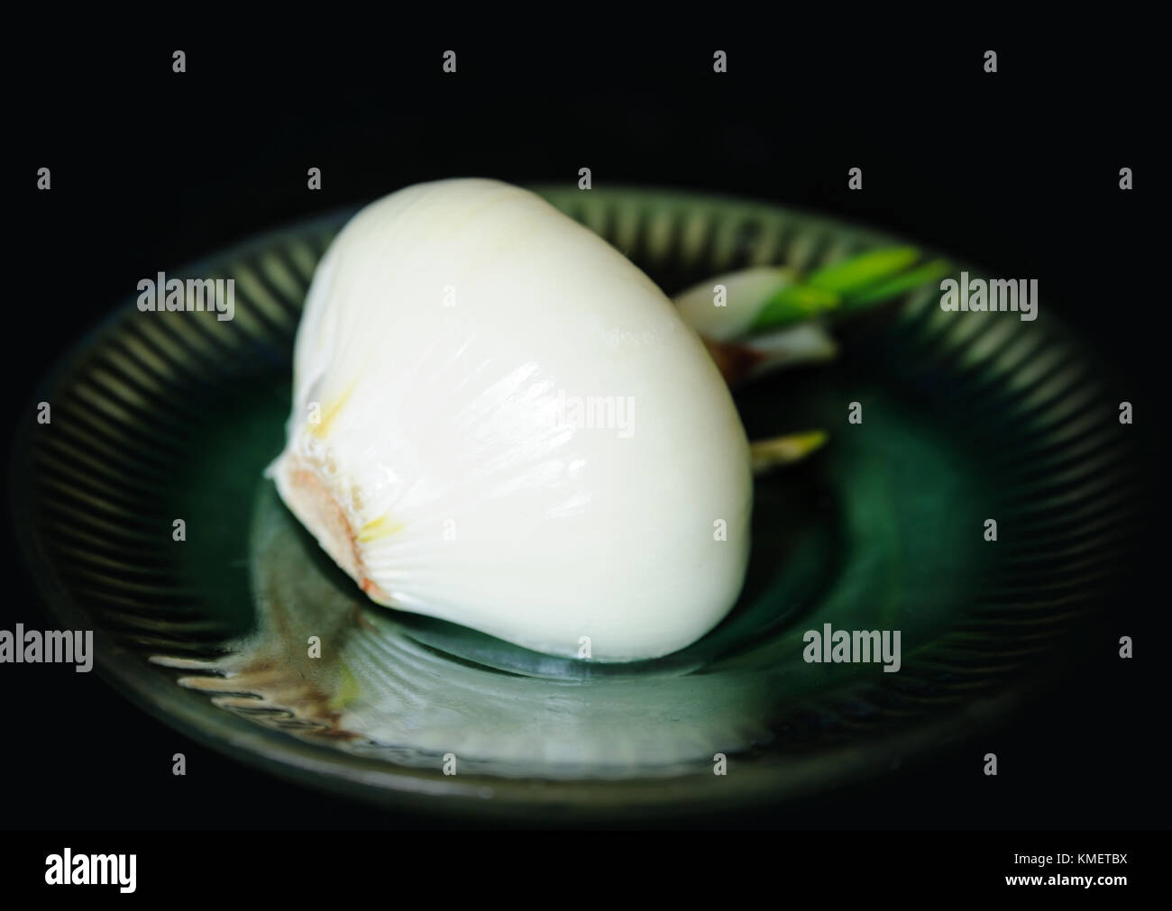 Still life. A onion on a plate. The onion cleaned from a peel is on a ...