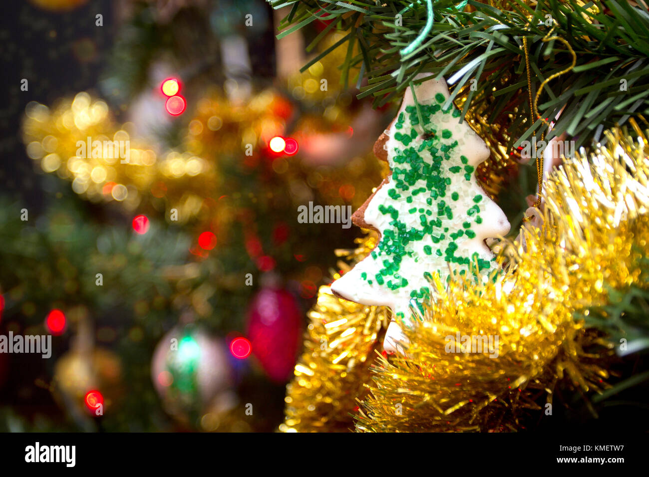 Tree with copy space hi-res stock photography and images - Alamy