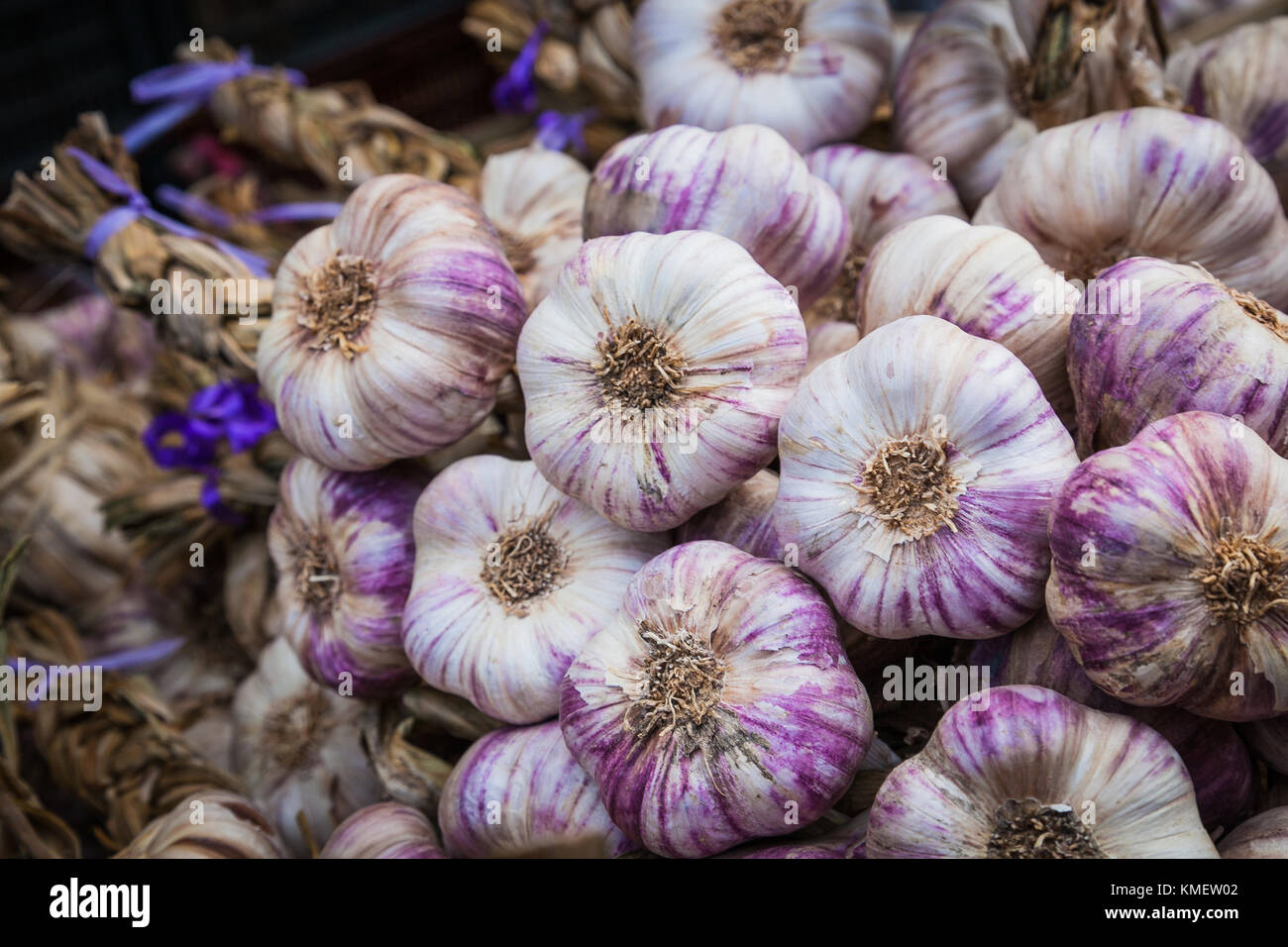 Riberac Dordogne High Resolution Stock Photography and Images - Alamy