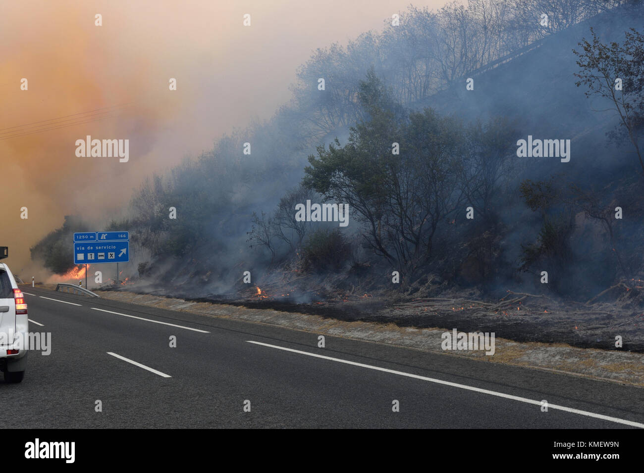 Forest fire on the road Stock Photo - Alamy