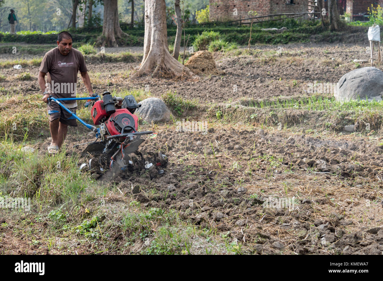 A man using a small machine to plough the field before cultivating ...