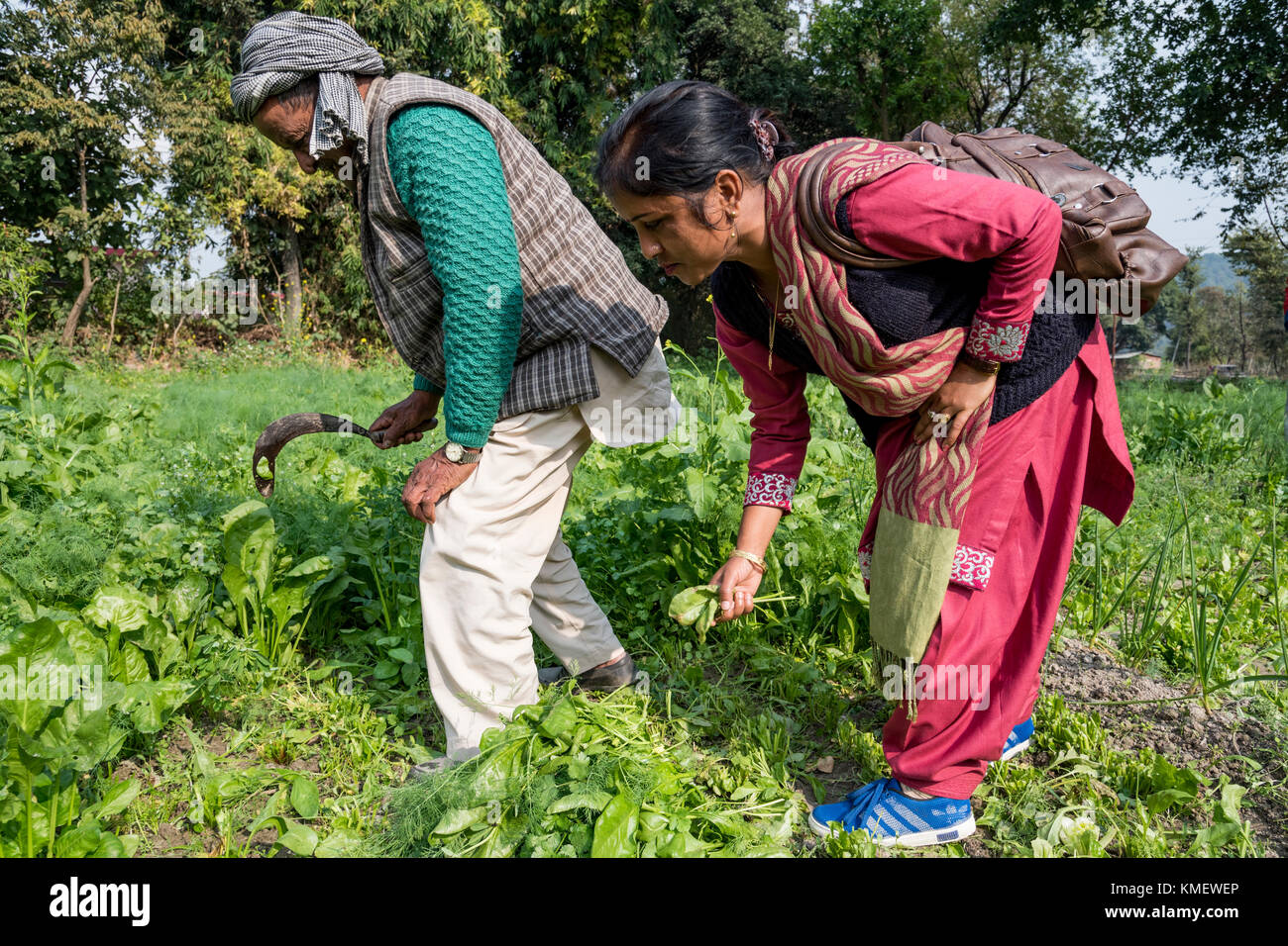 Old Farming Methods Stock Photos & Old Farming Methods Stock Images - Alamy
