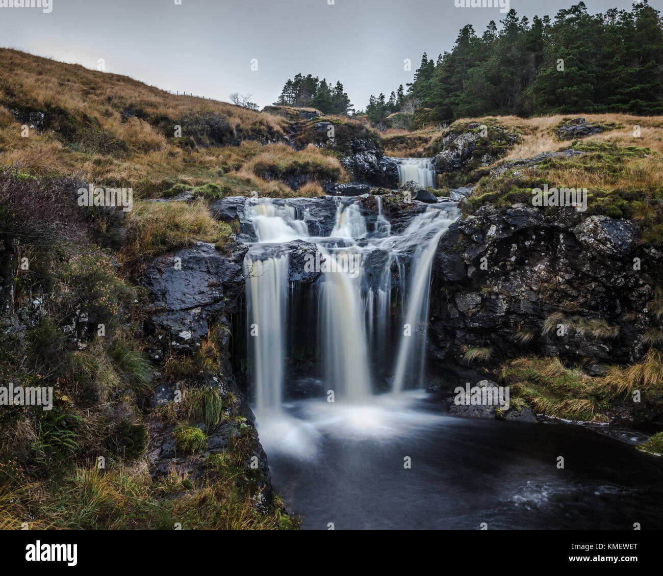 Natural bog pools hi-res stock photography and images - Alamy