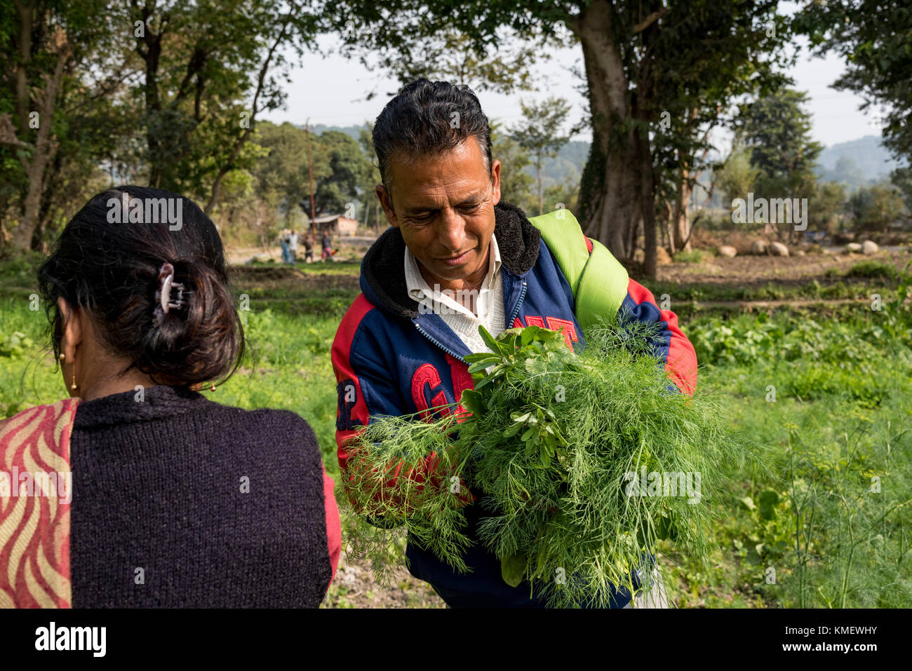 People doing work in their farmland to grow crops. People use methods ...