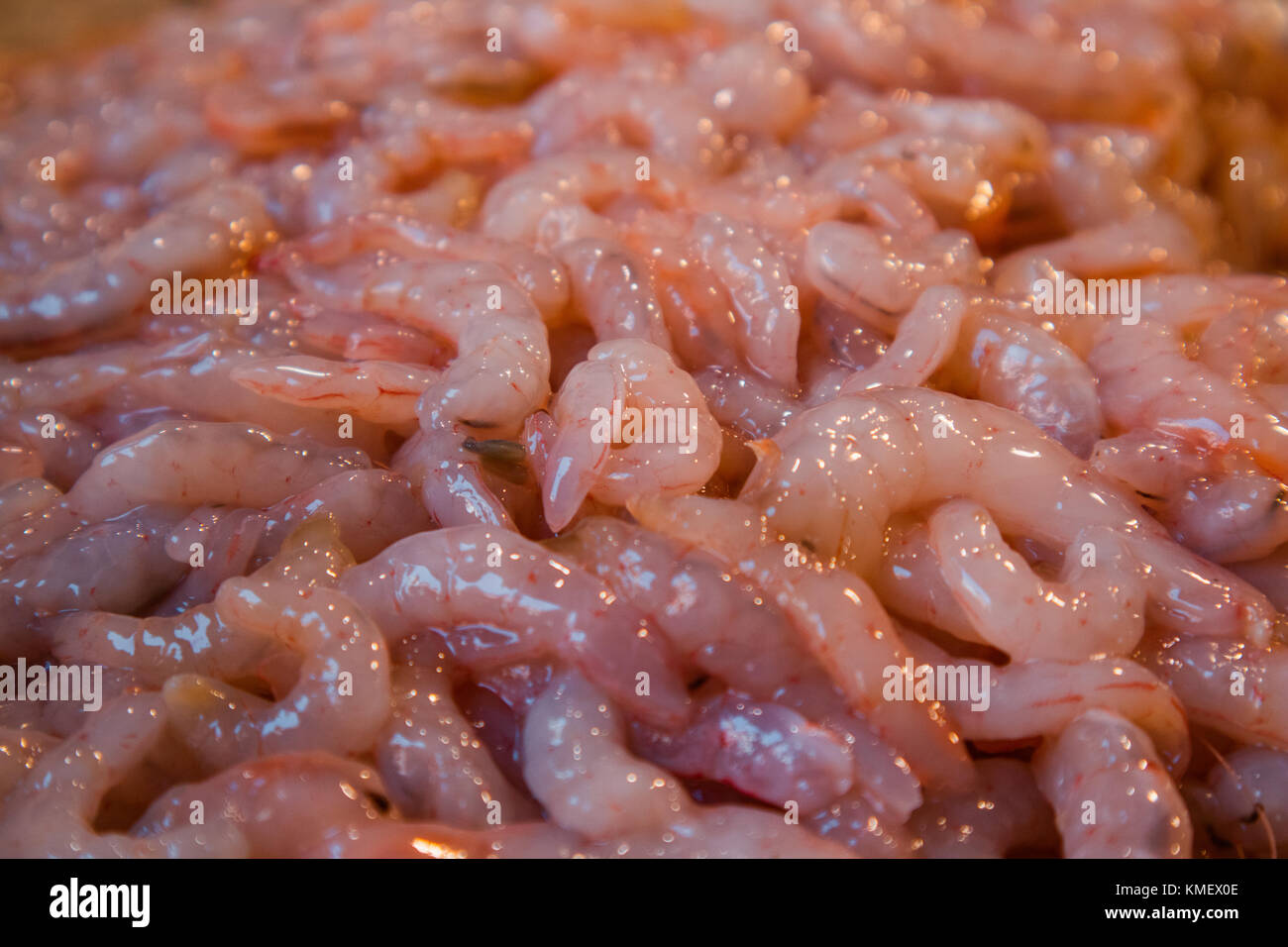 A pattern of shelled shrimp on the fish counter Stock Photo - Alamy
