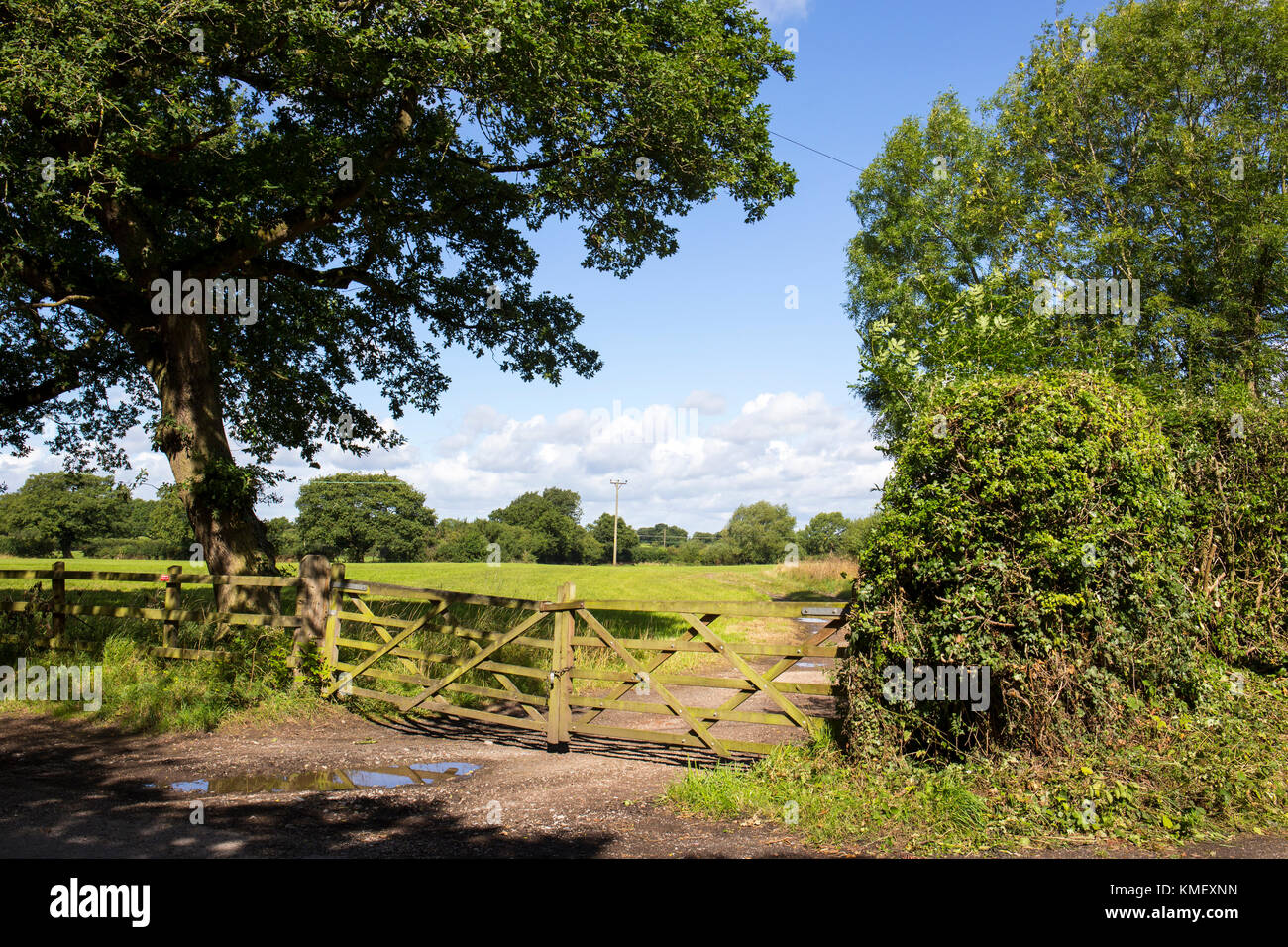 Field trees gate cheshire hi-res stock photography and images - Alamy