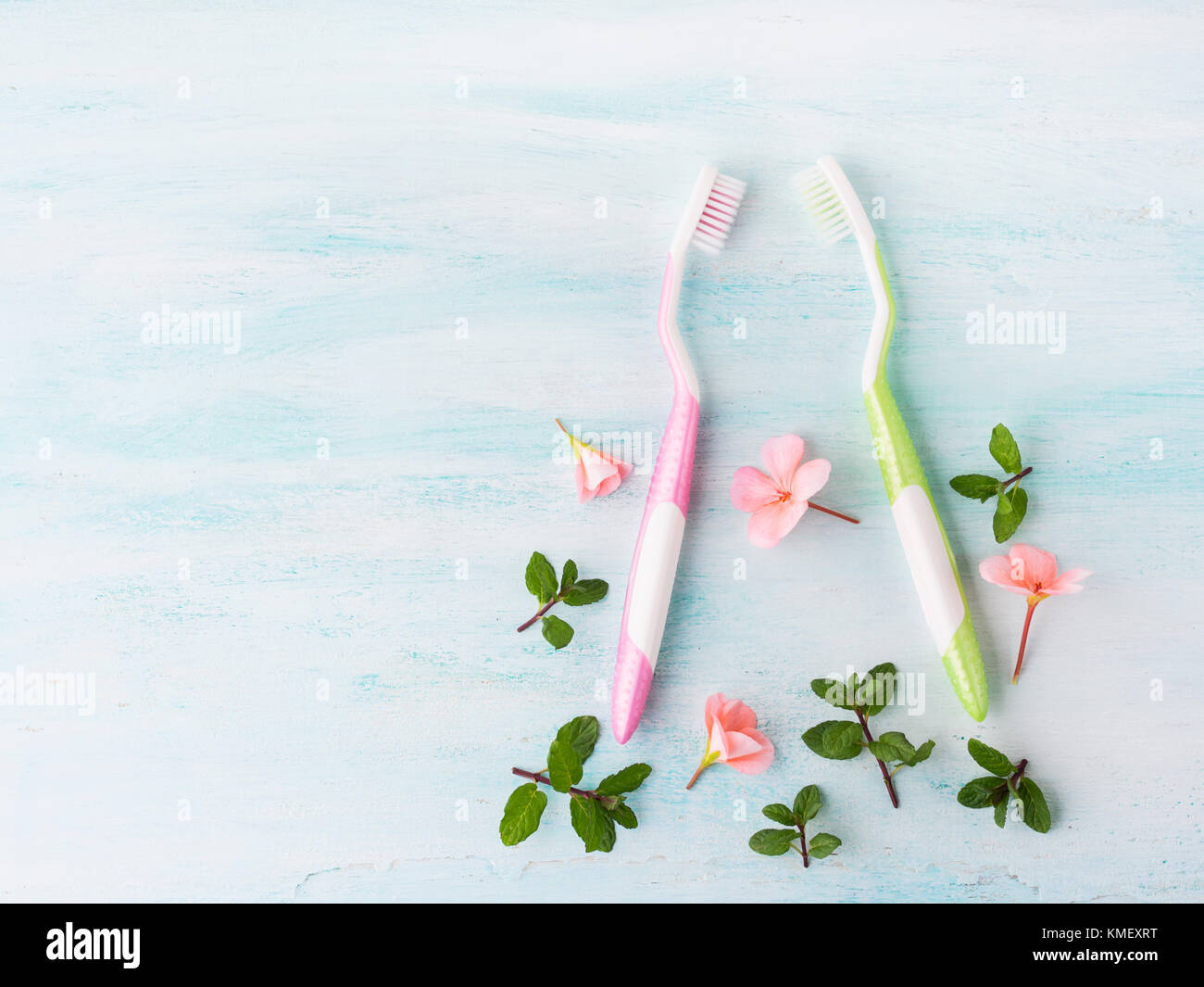Two pastel toothbrushes with pink flowers mint herb over green textured ...