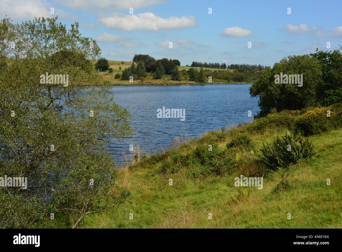 Devon reservoir dam hi-res stock photography and images - Alamy