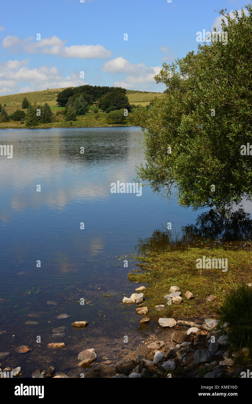 Devon Reservoir High Resolution Stock Photography and Images - Alamy