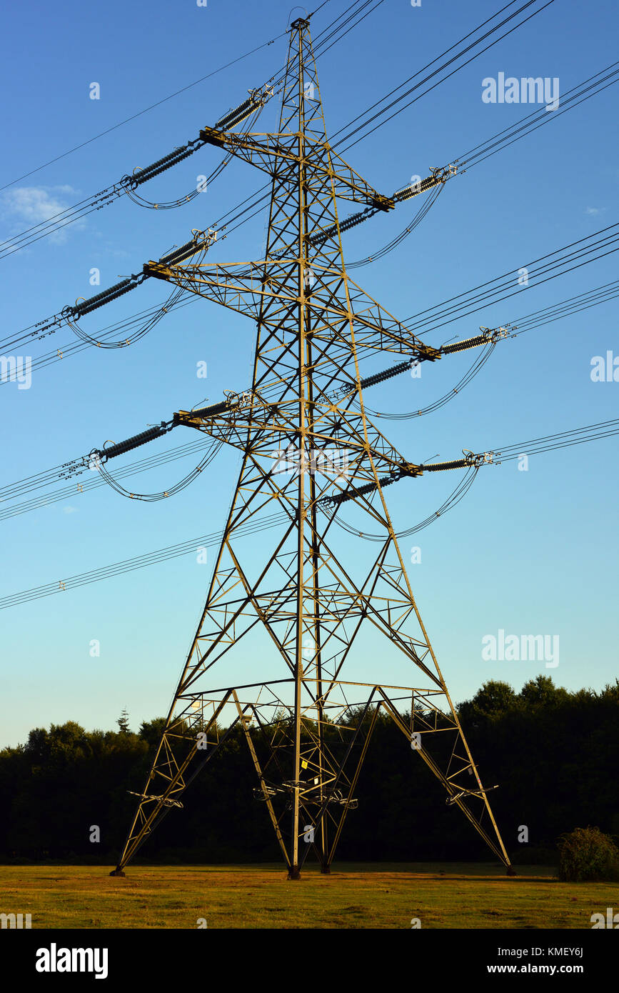 Pylon forest hi-res stock photography and images - Alamy