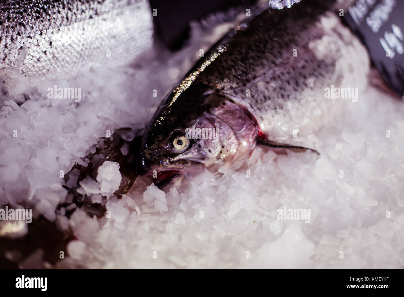 Fresh fish on ice Stock Photo - Alamy