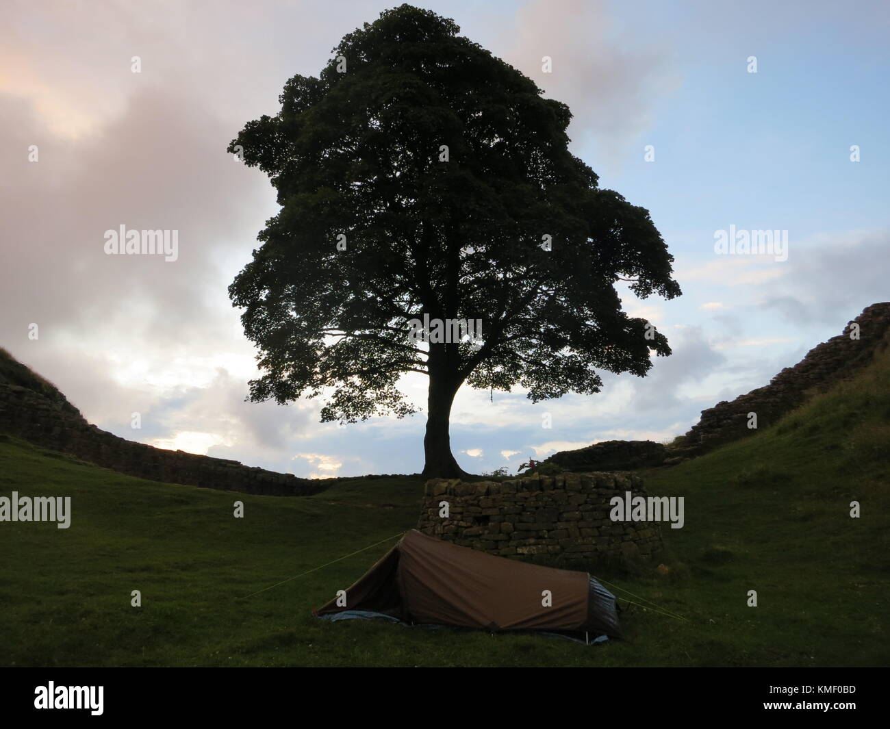 Wild camping at the Robin Hoods tree by Hadrian's wall. Hadrian's Wall ...