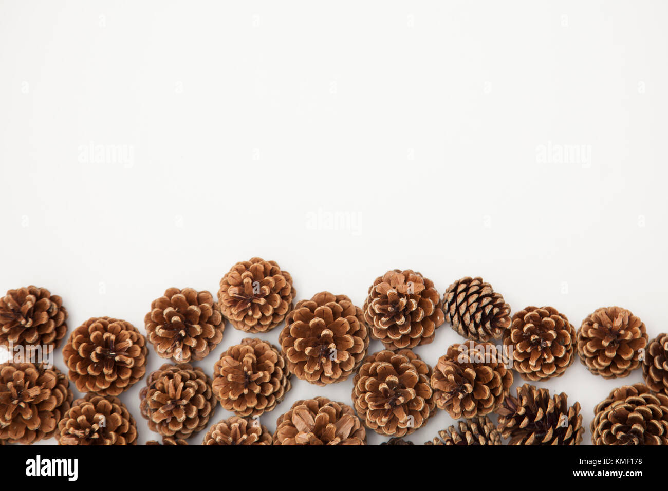 pine cone arrangement on a white background Stock Photo - Alamy
