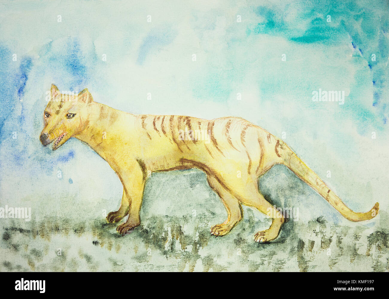 Tasmanian tiger. The dabbing technique near the edges gives a soft ...