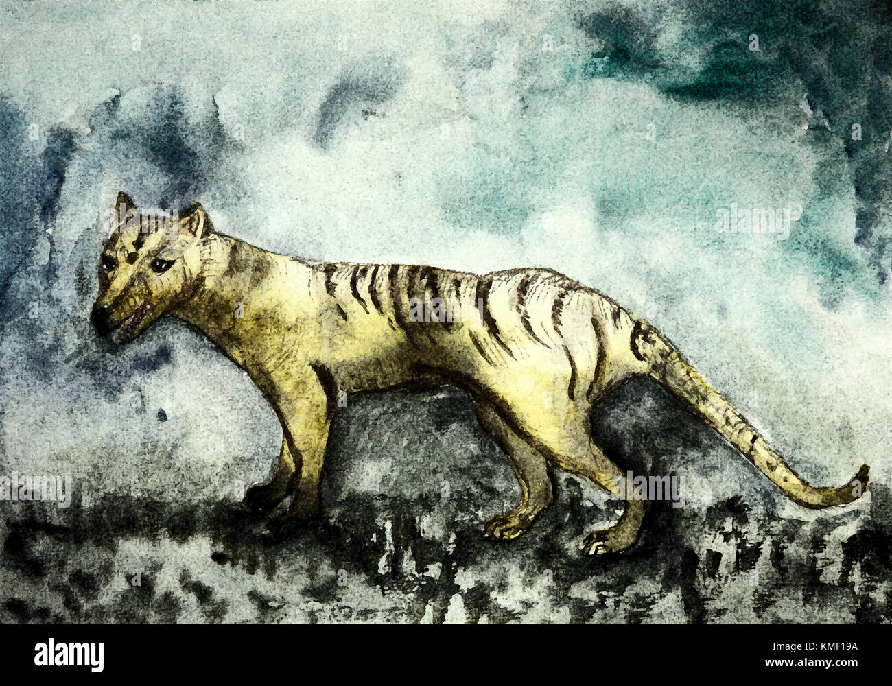 Weathered Tasmanian tiger. The dabbing technique near the edges gives a ...