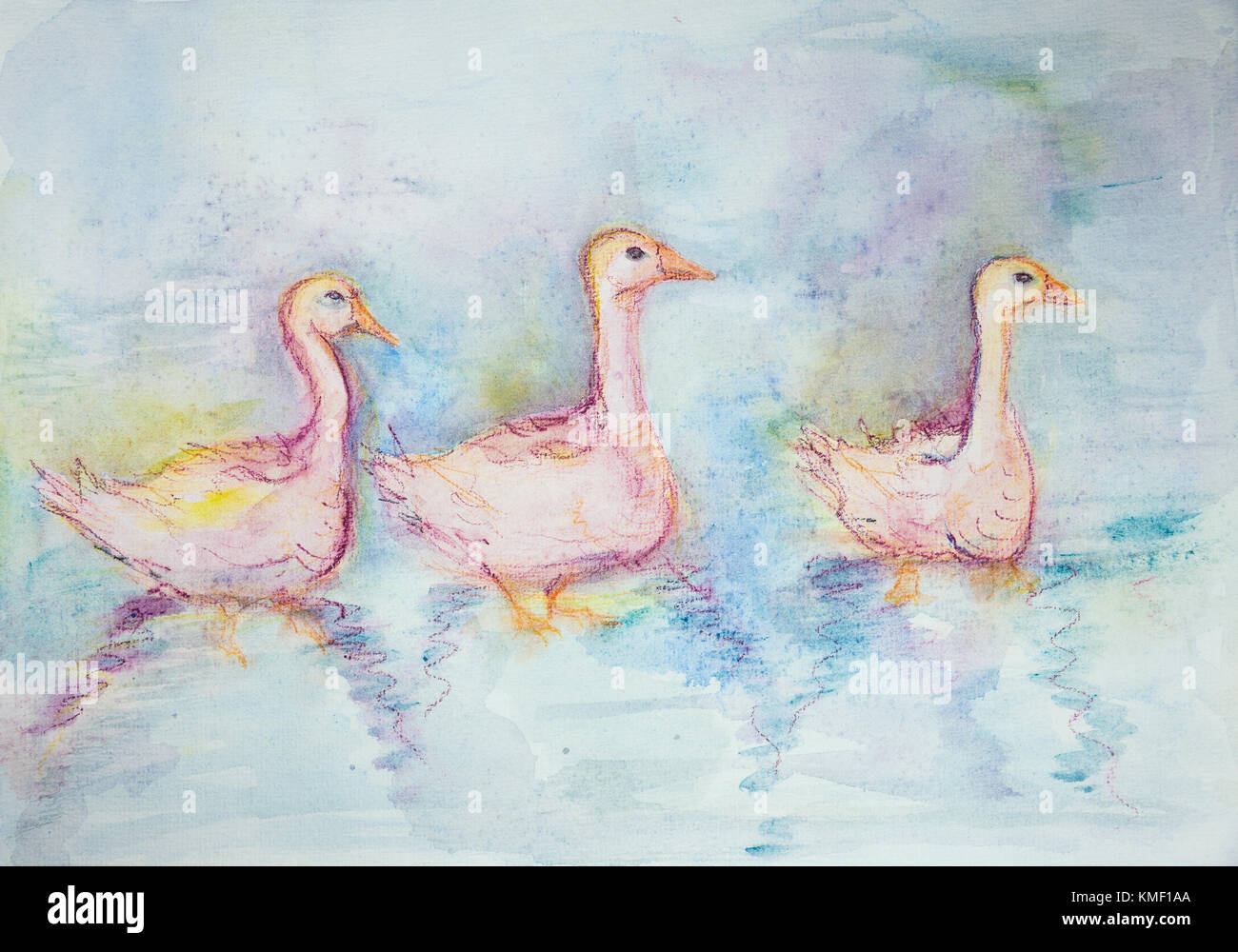 Three pink gooses swimming. The dabbing technique gives a soft focus ...