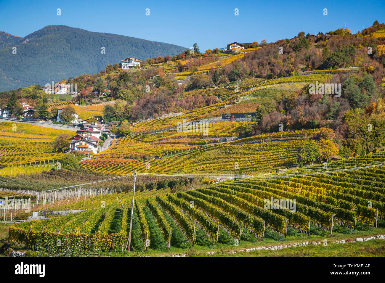 Vineyards in fall color on the mountain slopes above the village of ...