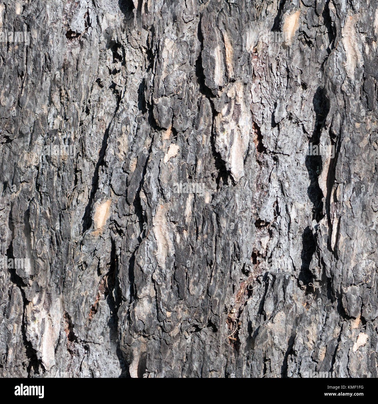 Detailed seamless texture hi-res stock photography and images - Alamy