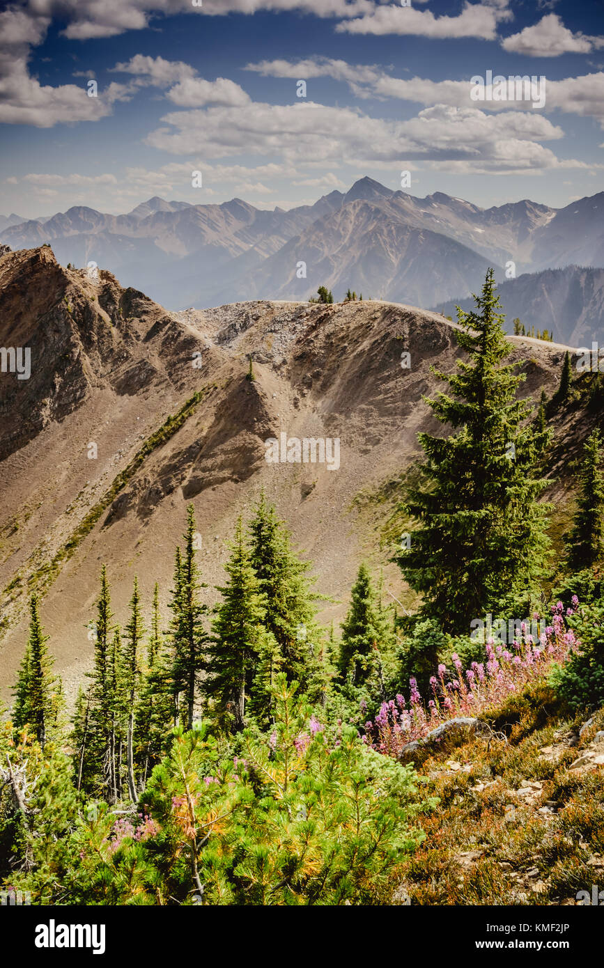 View from Kicking Horse mountain in BC Canada in summer Stock Photo - Alamy