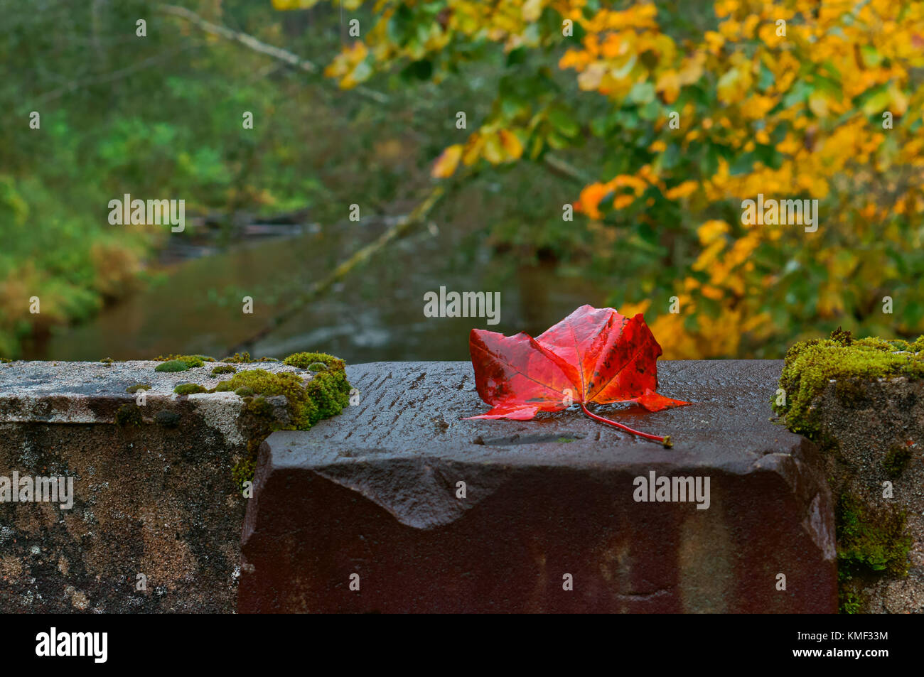 Leaf heart concrete hi-res stock photography and images - Alamy