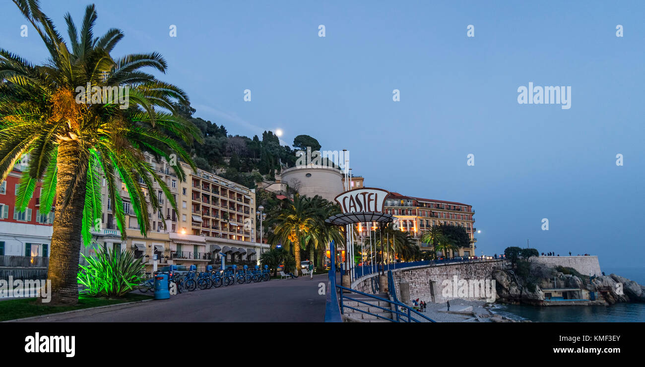 Promenade des Anglais, Castel beach, Palm Tree, Nice, Alpes Maritimes ...