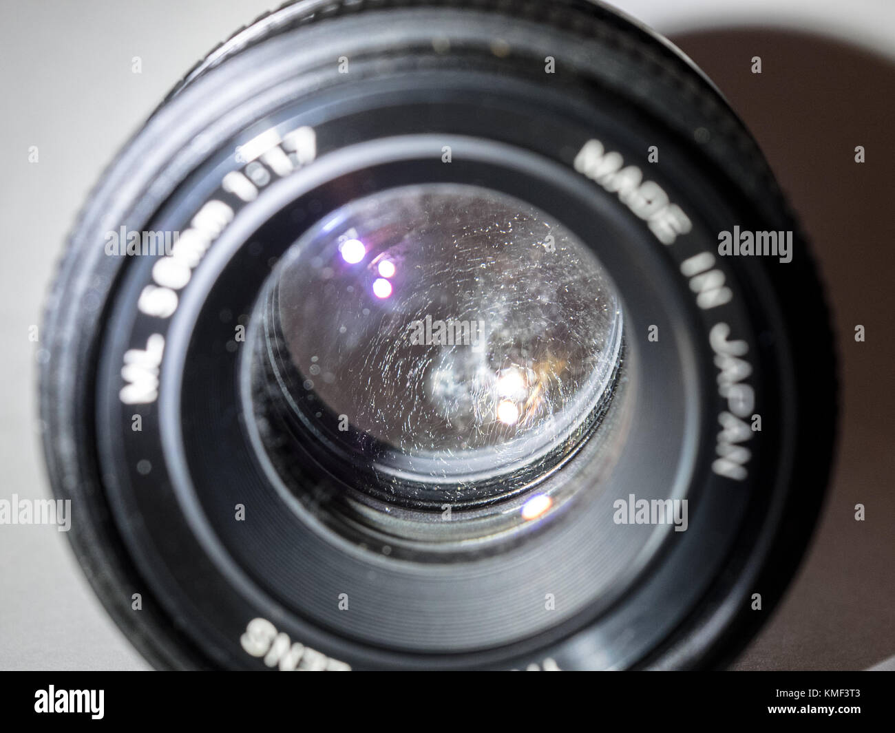 Lens fungi hi-res stock photography and images - Alamy