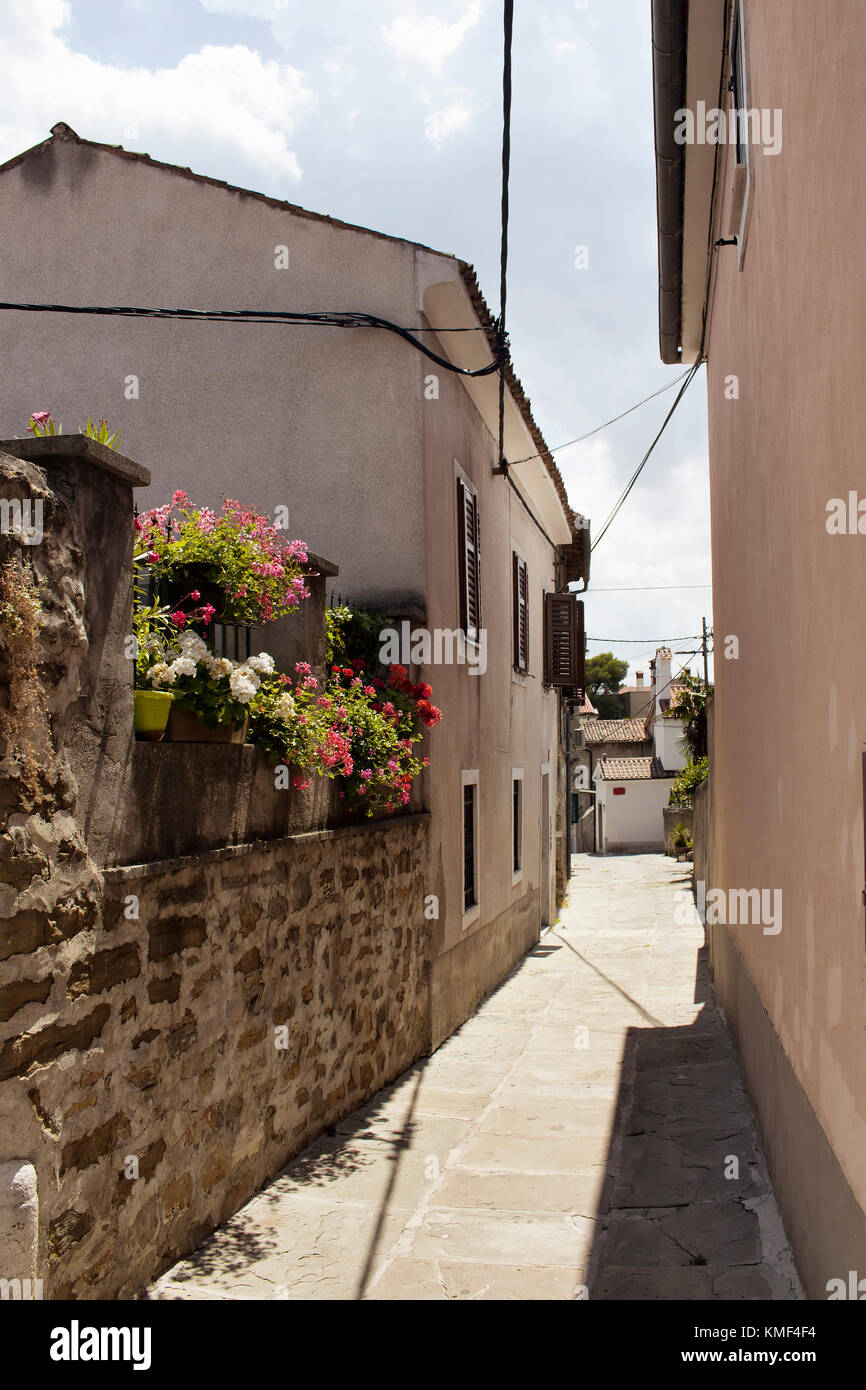 View of narrow street and old buildings in Koper / Slovenia. It is a ...