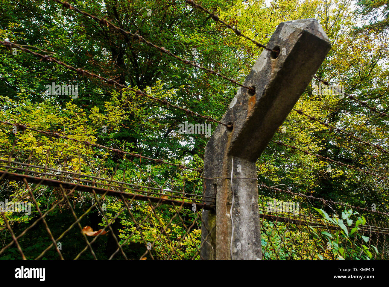 Fence topped with Barbed wire, Fontainebleau, France Stock Photo - Alamy