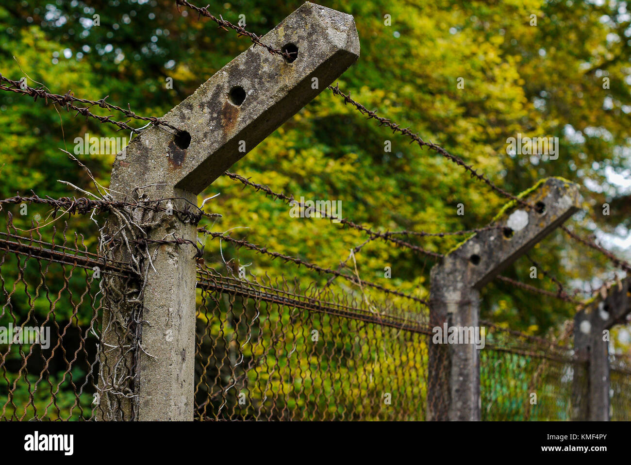 Fence topped with Barbed wire, Fontainebleau, France Stock Photo - Alamy