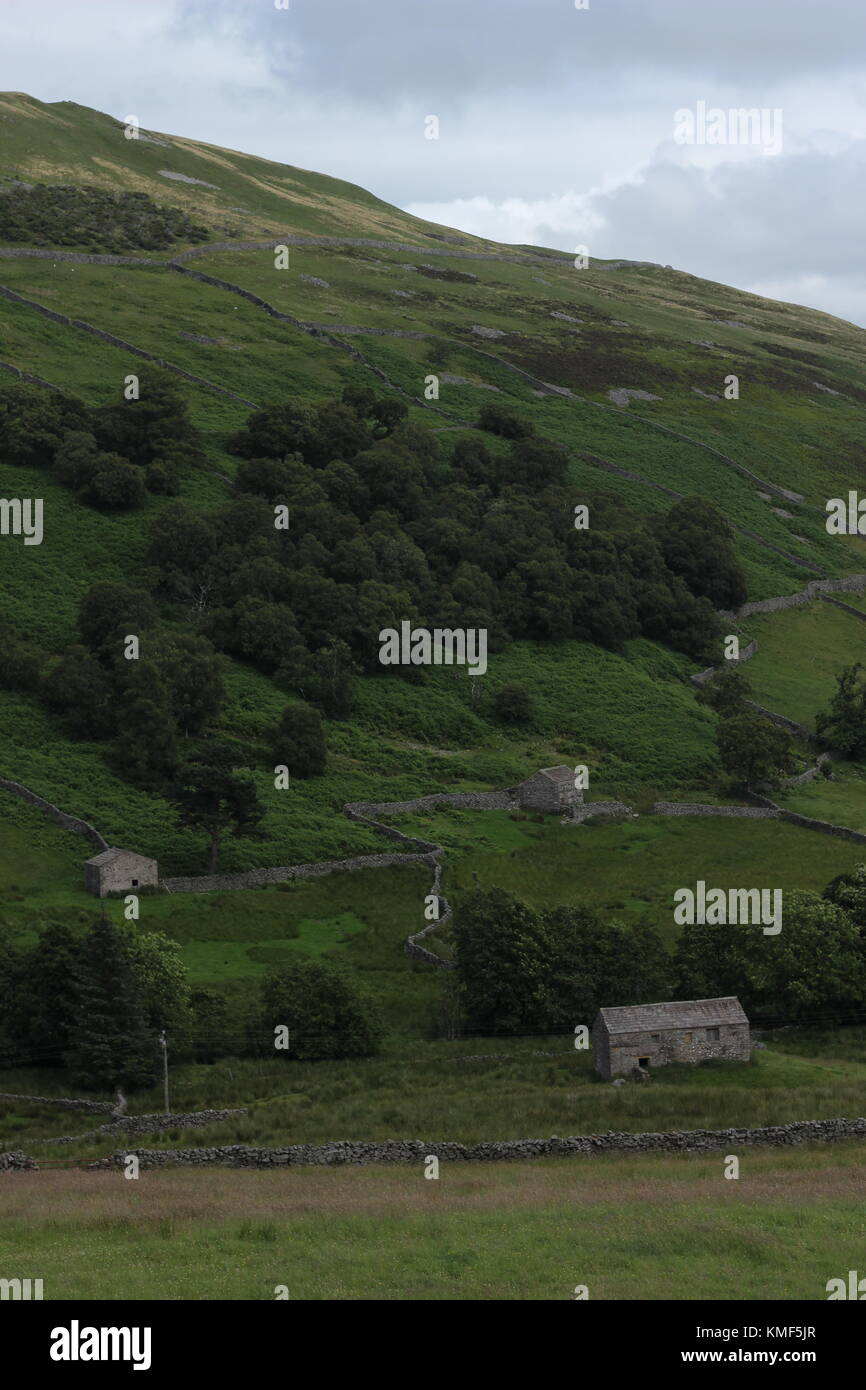 Views from near Angram between Thwaite and Keld in Upper Swaledale ...